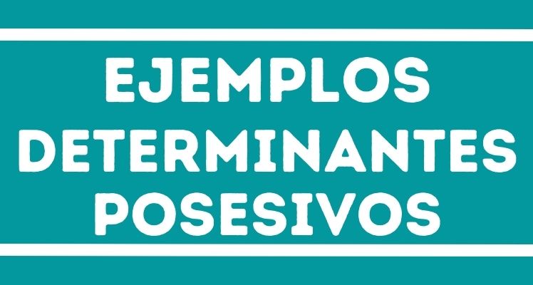 1️⃣ Los Determinantes Posesivos: ¿qué son y cómo se usan? Ejemplos ...