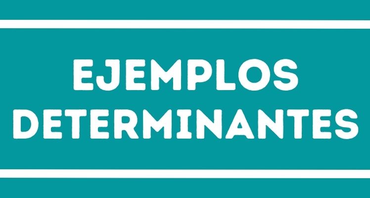 1️⃣ Comprende el mundo de los Determinantes, su función y utilidad en ...