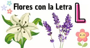 1️⃣ Ejemplos de Flores que empiezan por la L - Reporte de Lectura