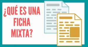 1️⃣ ¿Qué es una Ficha Mixta? - Reporte de Lectura